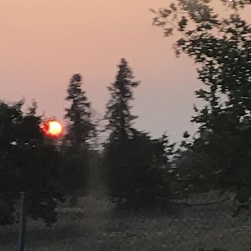 Lia ASMR - All videos @ The ASMR Index