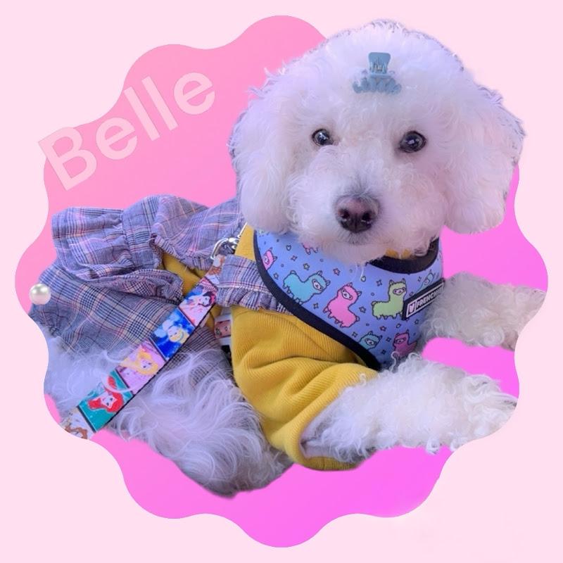 The Maltipoo Clan Asmr - All videos @ The ASMR Index