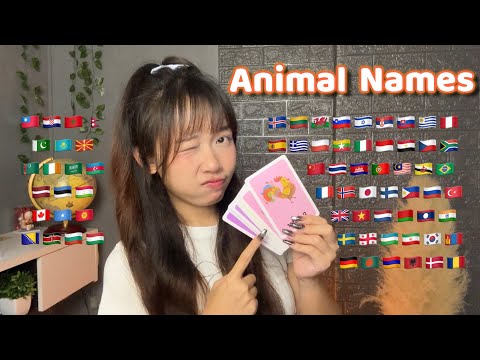 ASMR Animal Names in 70 Different Languages Part2 (2 hours for sleep)
