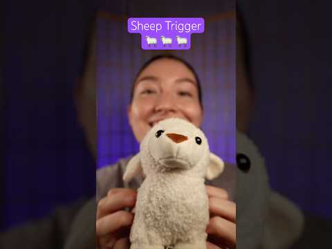 Daily Bread ASMR - All videos @ The ASMR Index