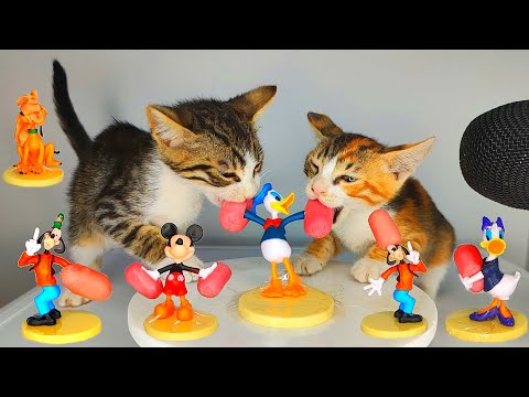 my Pets ASMR - All videos @ The ASMR Index