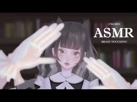 ୨୧⊹ASMR⊹୨୧ TINGLY TOUCH YOUR BRAIN ｜no talking｜