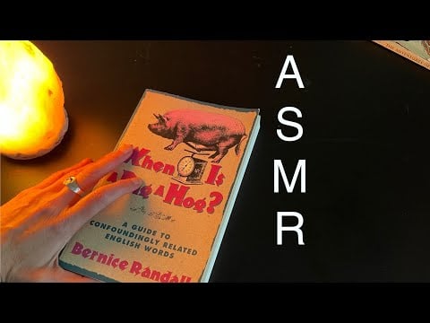 Soft-Spoken ASMR ~ Flipping Through Curious English Words & Their Meanings