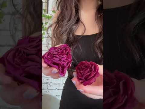 ASMR - Dried Roses #asmr #lofiasmr - The ASMR Index
