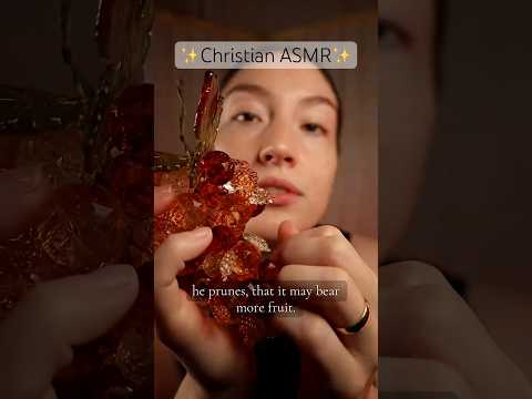 Daily Bread ASMR - All videos @ The ASMR Index