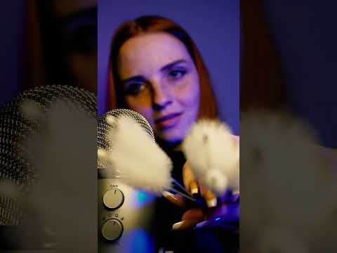 Daily ASMR Challenge #asmr #shorts #sleep