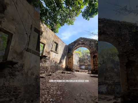 ASMR EM RUÍNAS - The ASMR Index