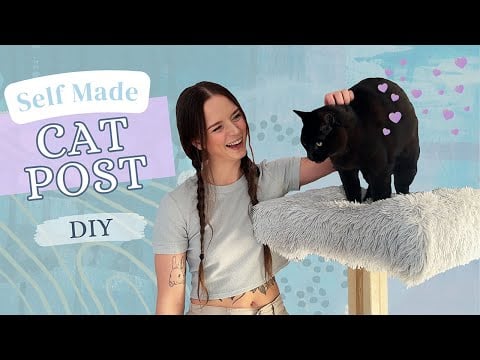 DIY Cat Post for Crazy Cat Ladies - The ASMR Index