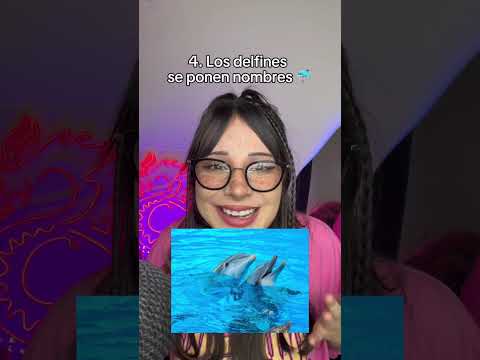 Daniela Emmanuel Oficial - All videos @ The ASMR Index