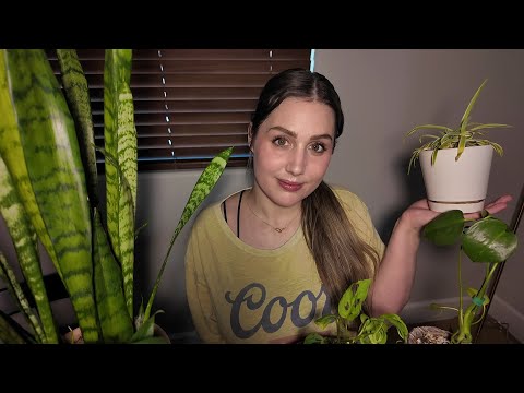asmr showing you my plants! + an update