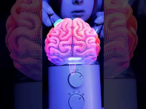 ASMR mic brushing #short - The ASMR Index