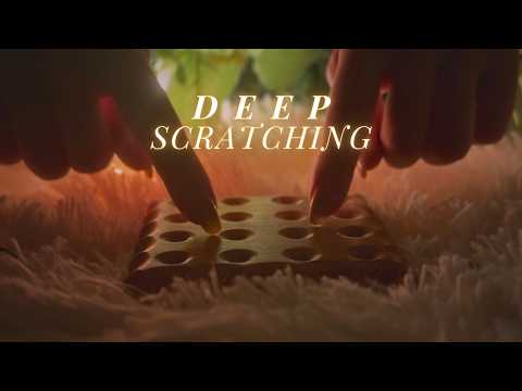 ASMR Gentle & Deep Scratch 🪽 Melt Into Calm🍃(with BGM)