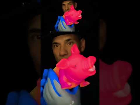 Pig Tapping ASMR #asmr #asmrcommunity ##asmrsounds #fy #fyp #fypシ゚viral ...