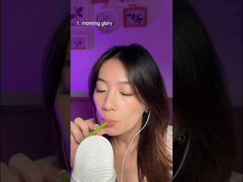 Lin ASMR - All videos @ The ASMR Index