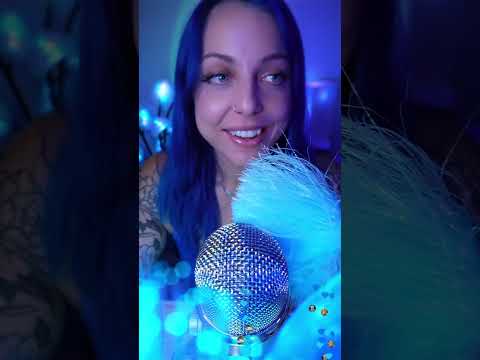 3 Hours ASMR Livestream 483💙 - The ASMR Index