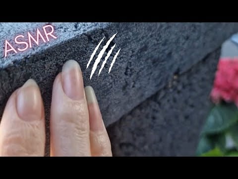 ASMR Concrete Scratching & Outdoor Tapping on a spring day (bird ...