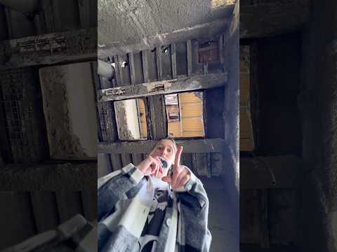 Barberry ASMR - All videos @ The ASMR Index