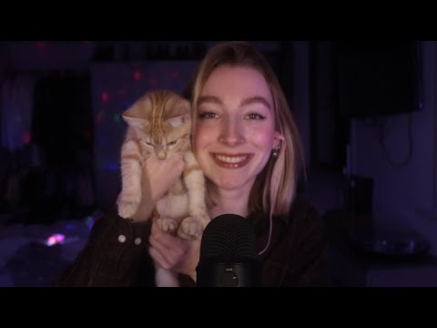 Kitten ASMR! - The ASMR Index