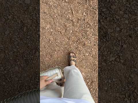 Alina Raccoon - All videos @ The ASMR Index