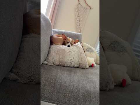 Bean Marie - All videos @ The ASMR Index