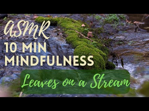 10 minute ASMR meditation | Leaves on a Stream #mindfulness