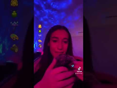 ASMR head massage + bug search! - The ASMR Index