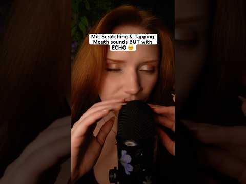 Echo ASMR Mouth sounds, Mic Scratching&Tapping 😴
