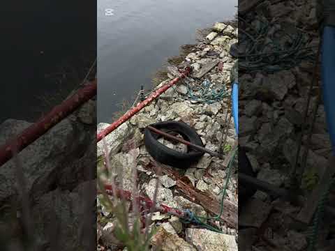 sunny asmr - All videos @ The ASMR Index