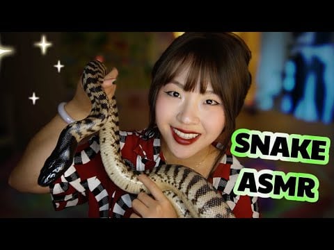 ASMR With A Snake! 😳 Meet My Black Headed Python 🐍 Soft Speaking, Snake ...