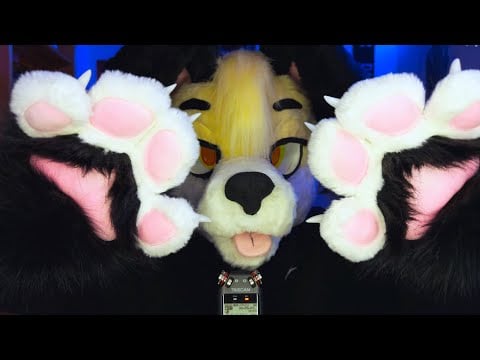 [Furry ASMR] Maw Sounds And Visual Triggers