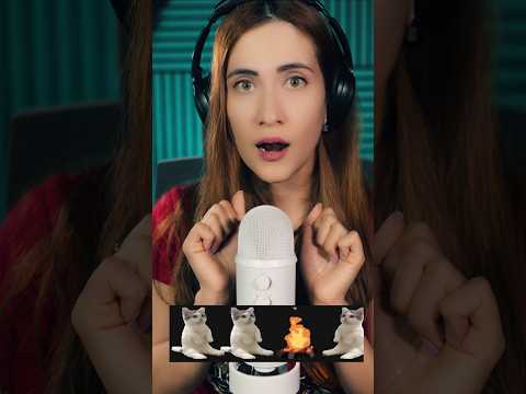 ASMR GIF CHALLENGE 🎧 Parte 4 - The ASMR Index