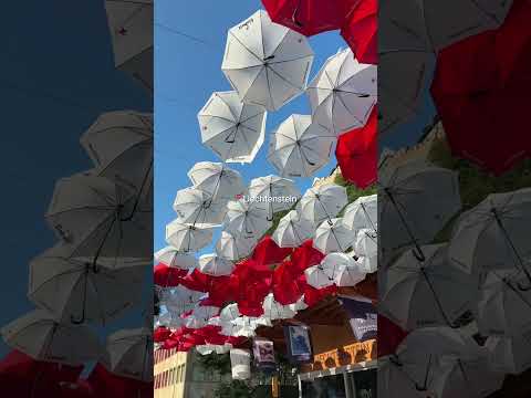 Alina Raccoon - All videos @ The ASMR Index