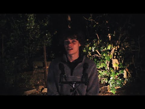 ASMR Outdoors | Night Time Softly Spoken