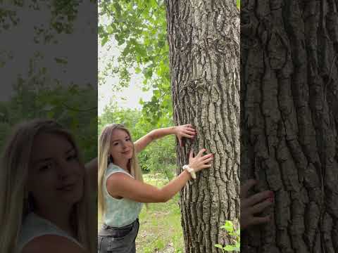 ASMR Giving a Tree a Massage #asmr #massage #natureasmr #asmrtriggers # ...