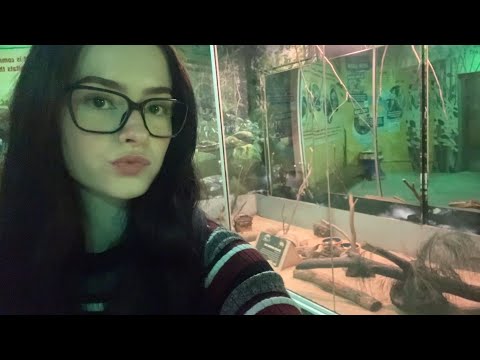 Lauren’s ASMR - All videos @ The ASMR Index