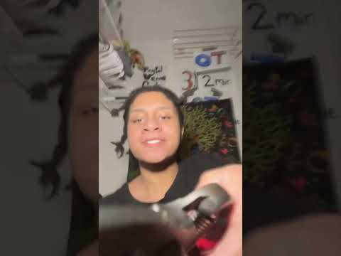 ASMR - Terror - The ASMR Index