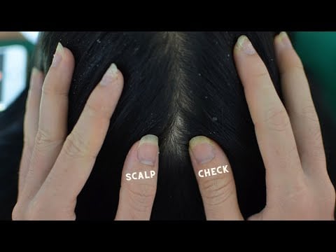 ASMR Lice Check & Scalp Exam | Nape & Behind Ear Attention | Real Person 'Unintentional' Style