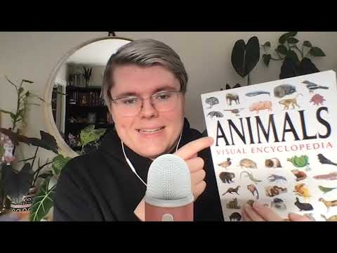 Book Tapping, Tracing, & Rambling (Dec Sprouts Video) | Eclectic ASMR