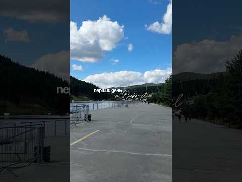 Alina Raccoon - All videos @ The ASMR Index