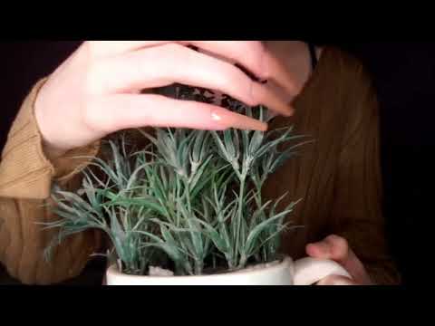 ASMR - Tapping and Scratching on Fake Plants 💐 With LONG Nails! (Some ...