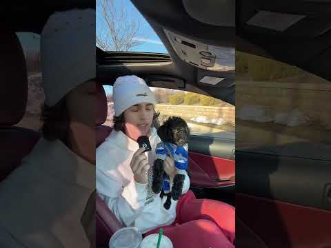 Dean ASMR - All videos @ The ASMR Index