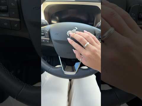 beez asmr - All videos @ The ASMR Index