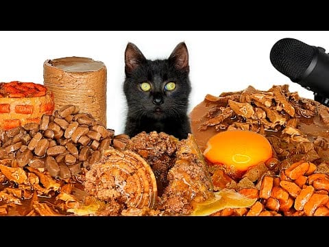 my Pets ASMR - All videos @ The ASMR Index