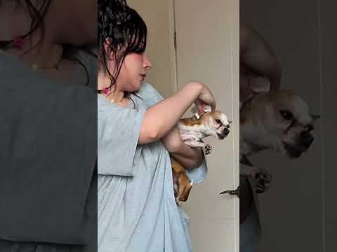 Daniela Emmanuel Oficial - All videos @ The ASMR Index