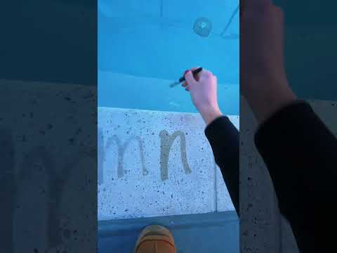 alphabet game asmr find the missing letter #asmr #fyp #oddlysatisfying ...